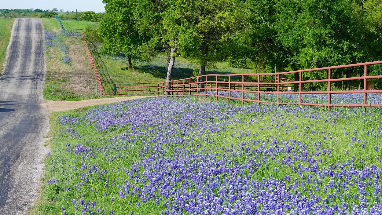 Shutdown Freezes USDA Loans